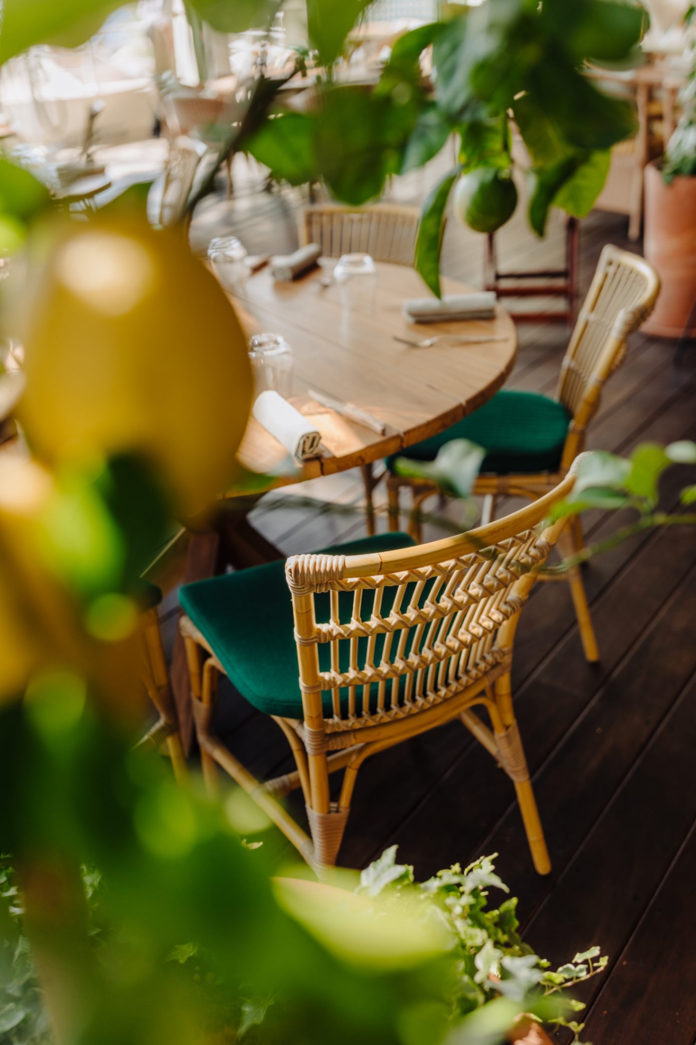 Casa SUNSET x Mauro Colagreco : expérience gastronomique exclusive Monaco